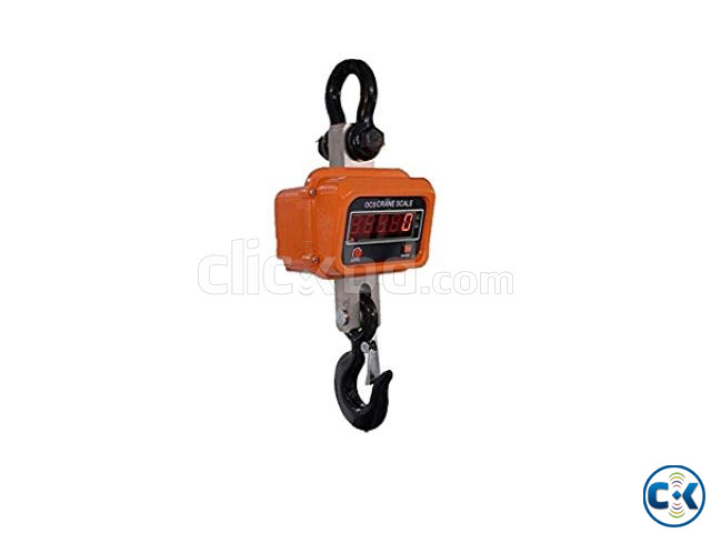 Crane Scale 10 Ton Capacity-China